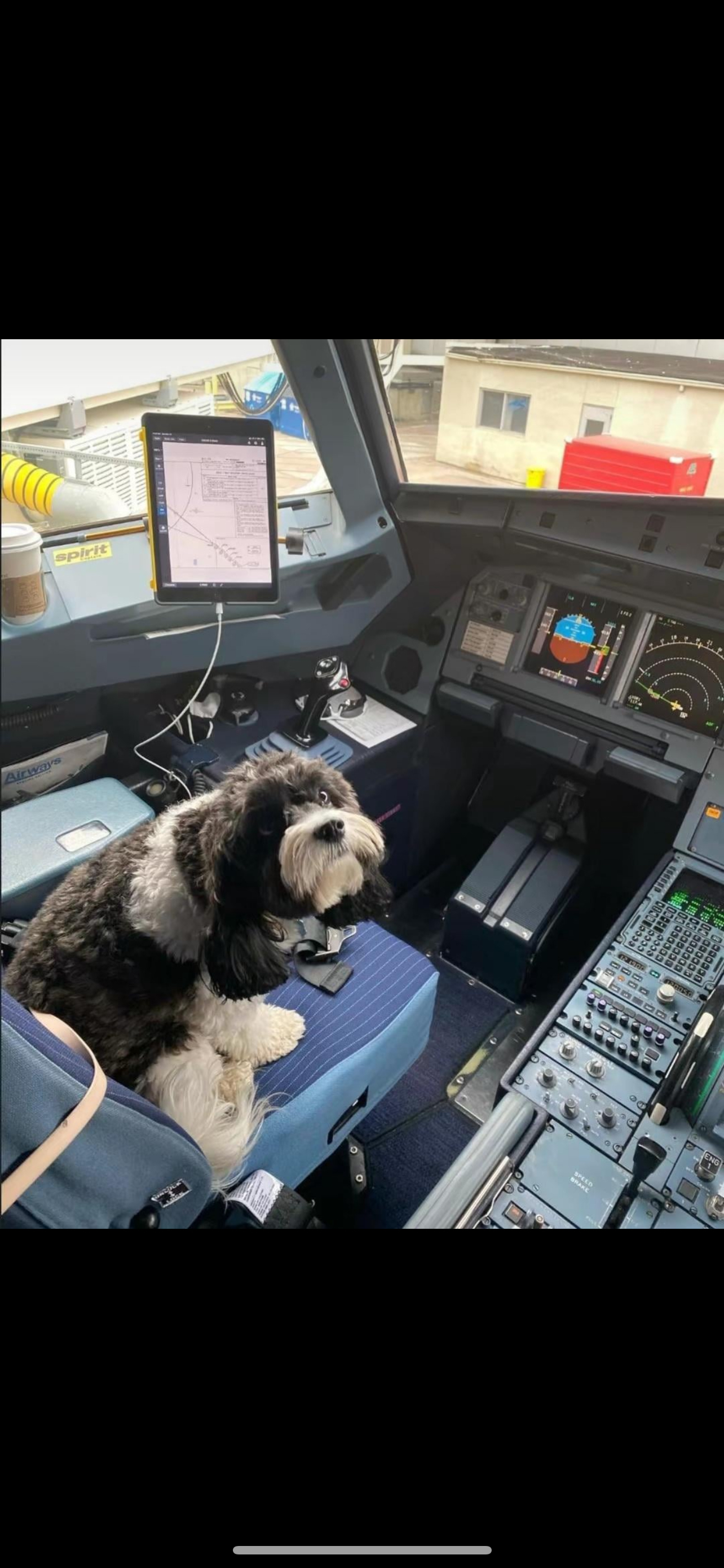 Controllers - Virtual New York ARTCC